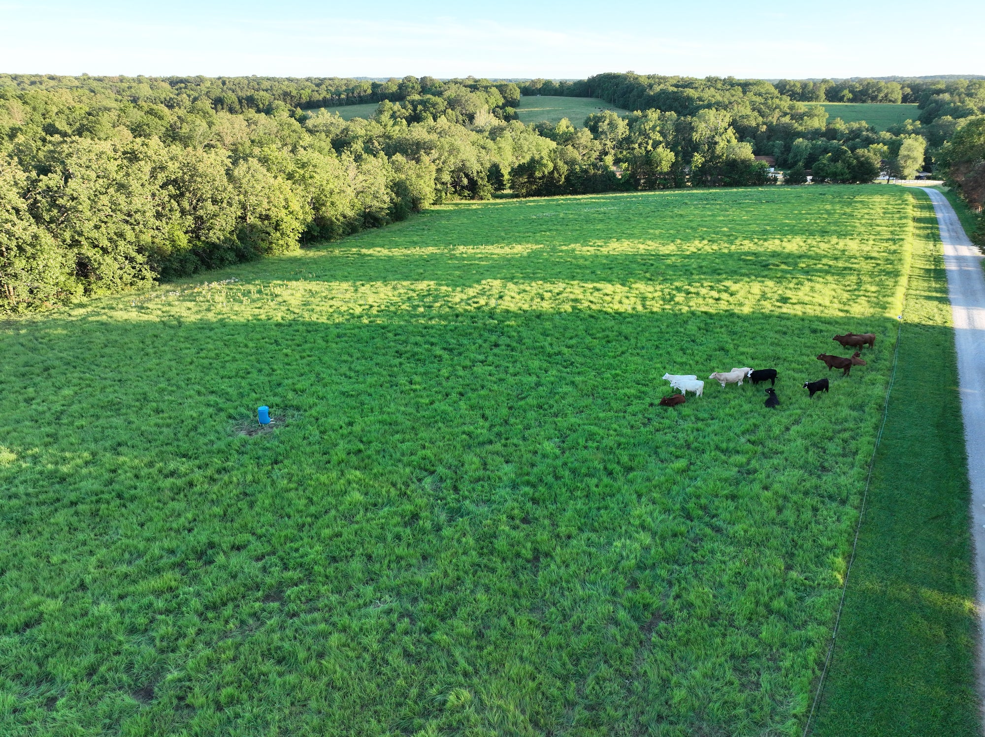 Missouri Grown. Regeneratively Raised. – Oaklee Rose Farms